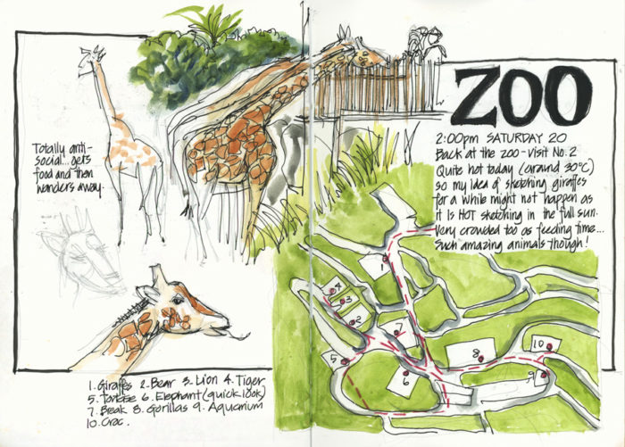 Zoo visit 2: Sketching animals and architecture - Liz Steel : Liz Steel