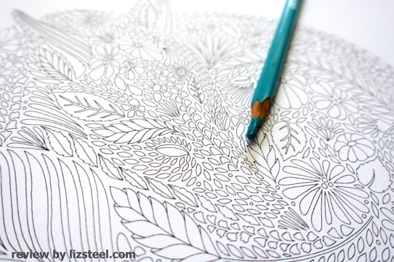 Adult Coloring Books 1: An initial review - Liz Steel : Liz Steel