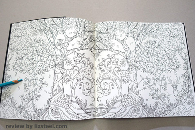 Adult Coloring Books 1: An initial review - Liz Steel : Liz Steel