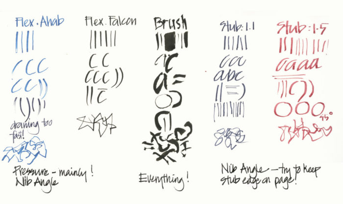 Fountain Pen Sketching Part 6: Pens with variable lines 1 - Liz Steel ...