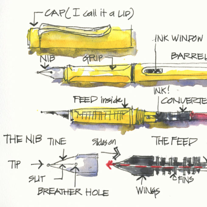 Fountain Pen Sketching Archives - Liz Steel : Liz Steel