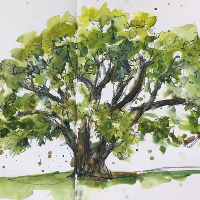 Perth: Final two sketching days - Liz Steel : Liz Steel