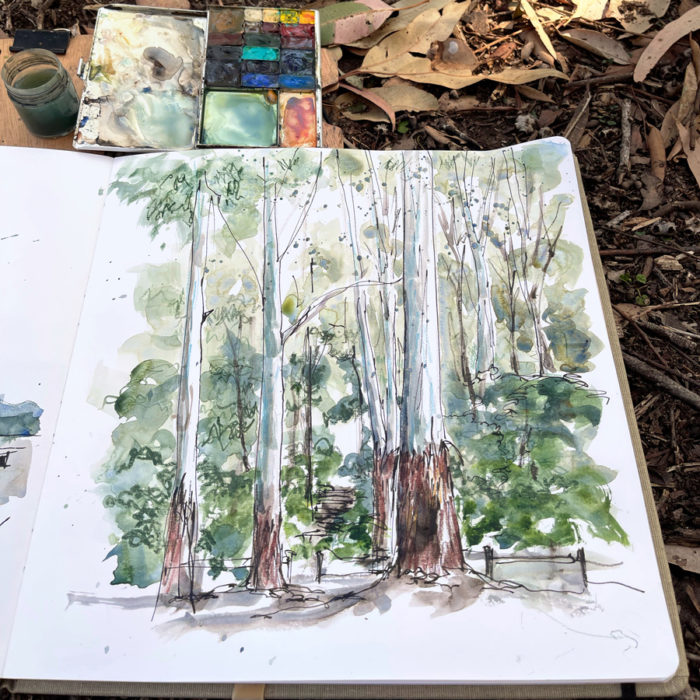 Mixing grey greens and an update on my Folio palette - Liz Steel : Liz ...