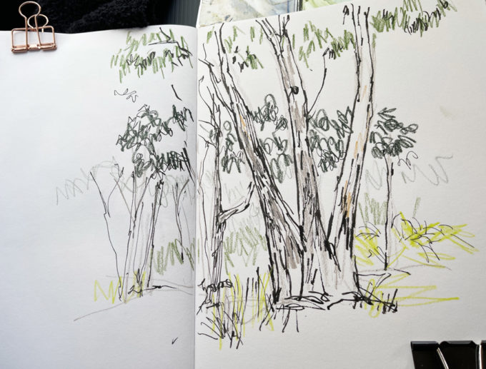 Peppermint and Turpentine - a step by step of a bush sketch - Liz Steel ...