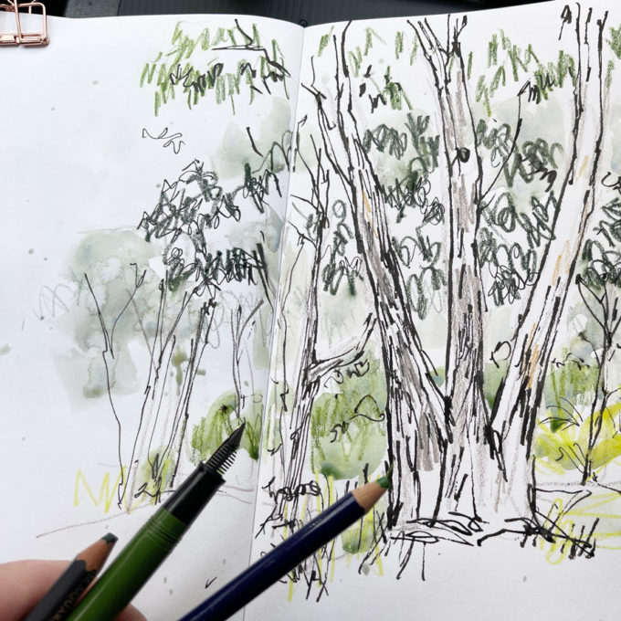 Peppermint and Turpentine - a step by step of a bush sketch - Liz Steel ...