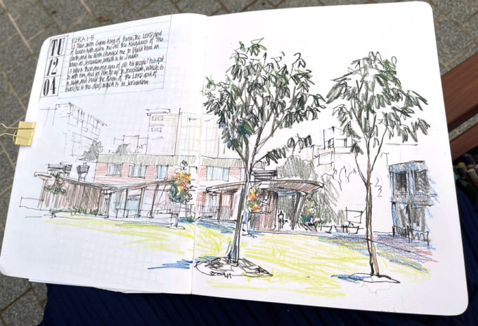 Complex Scenes and Coloured Pencils - Liz Steel : Liz Steel