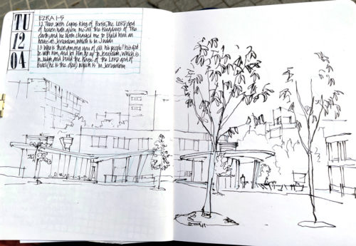 Complex Scenes and Coloured Pencils - Liz Steel : Liz Steel