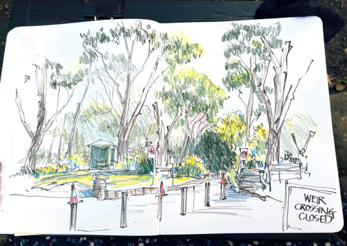 Complex Scenes and Coloured Pencils - Liz Steel : Liz Steel