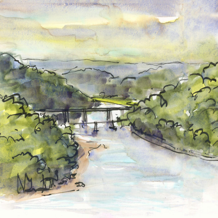 Archives - Liz Steel : Liz Steel